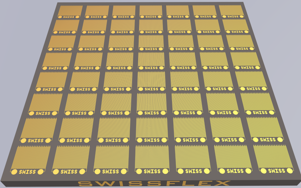 Swiss - Swissflexmicrocircuits