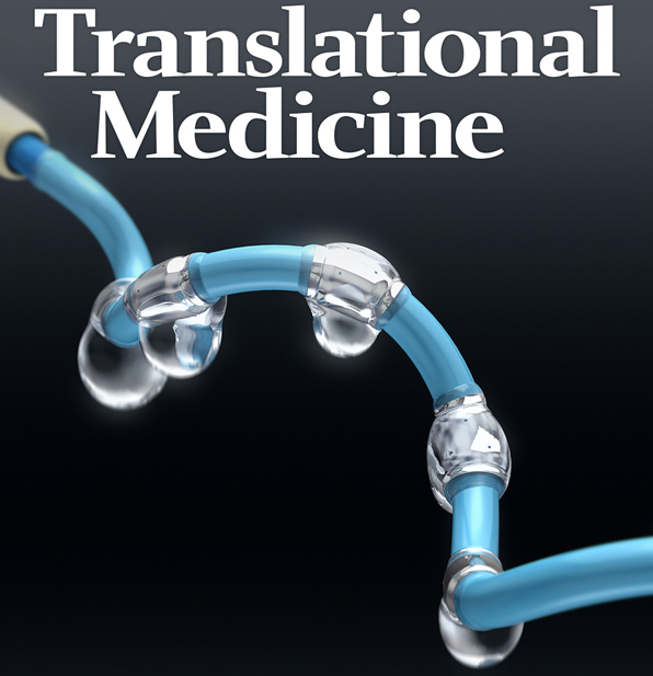 transmed - Swissflexmicrocircuits