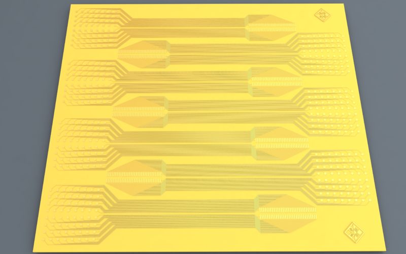 Mapping - Swissflexmicrocircuits